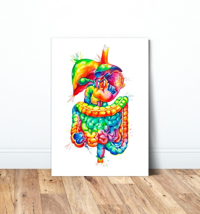Watercolor Anatomy Poster Gastroenterology Art Intestines - Etsy