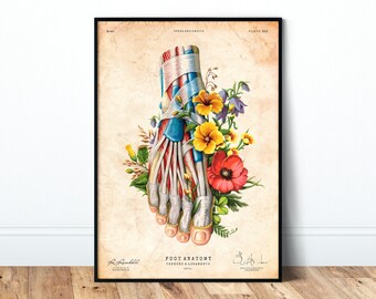 Foot Anatomy Poster - Etsy