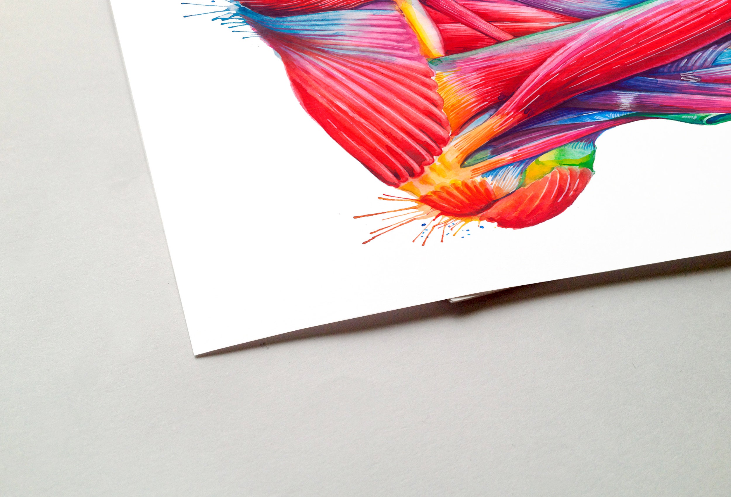 Massage Room Art Neck Muscles Anatomy Poster Therapy Office - Etsy UK