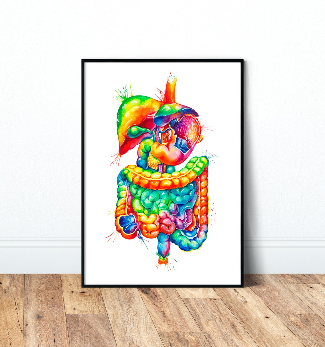 Watercolor Anatomy Poster Gastroenterology Art Intestines - Etsy
