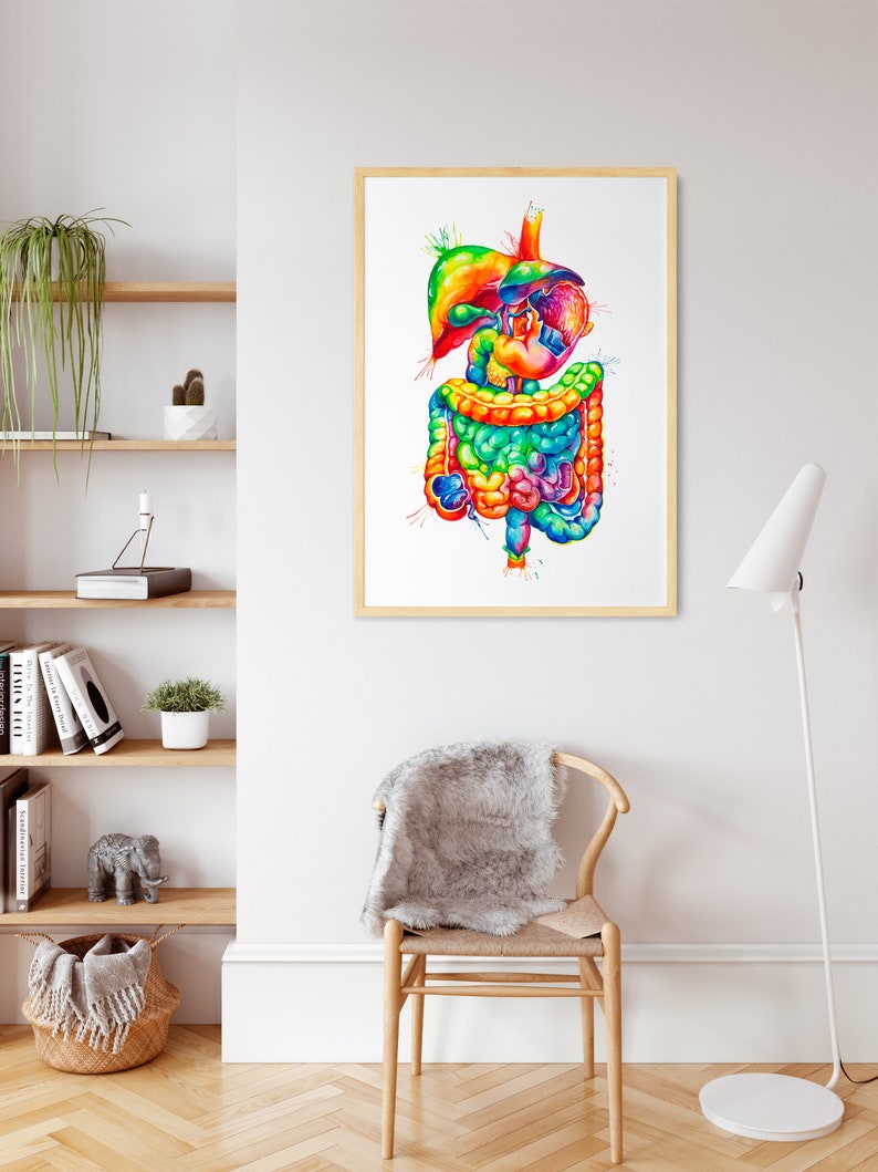 Watercolor Anatomy Poster Gastroenterology Art Intestines - Etsy