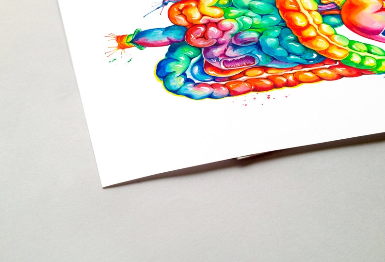 Watercolor Anatomy Poster Gastroenterology Art Intestines - Etsy