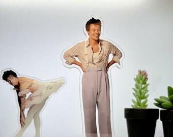 Harry Styles Cardboard Cutout - Etsy