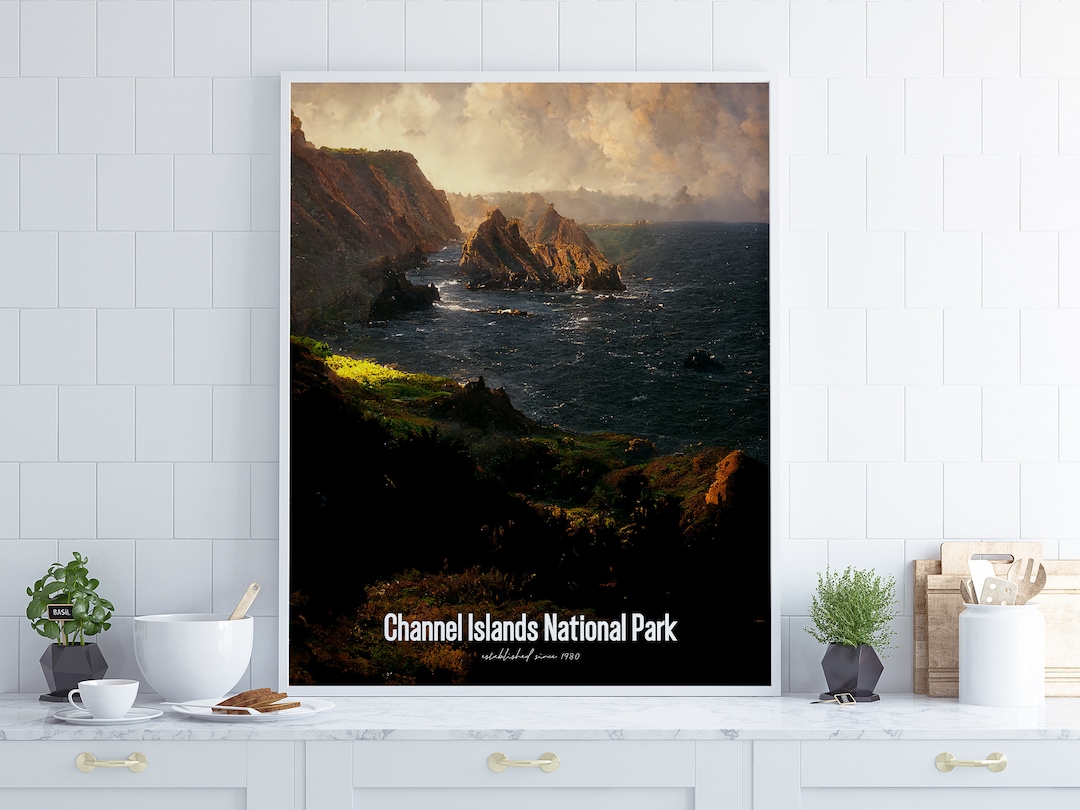 Channel Islands National Park Poster • United States Parks Collection ...
