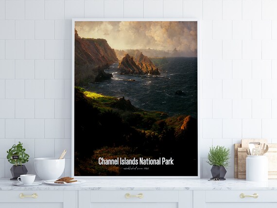 Channel Islands National Park Poster United States Parks - Etsy