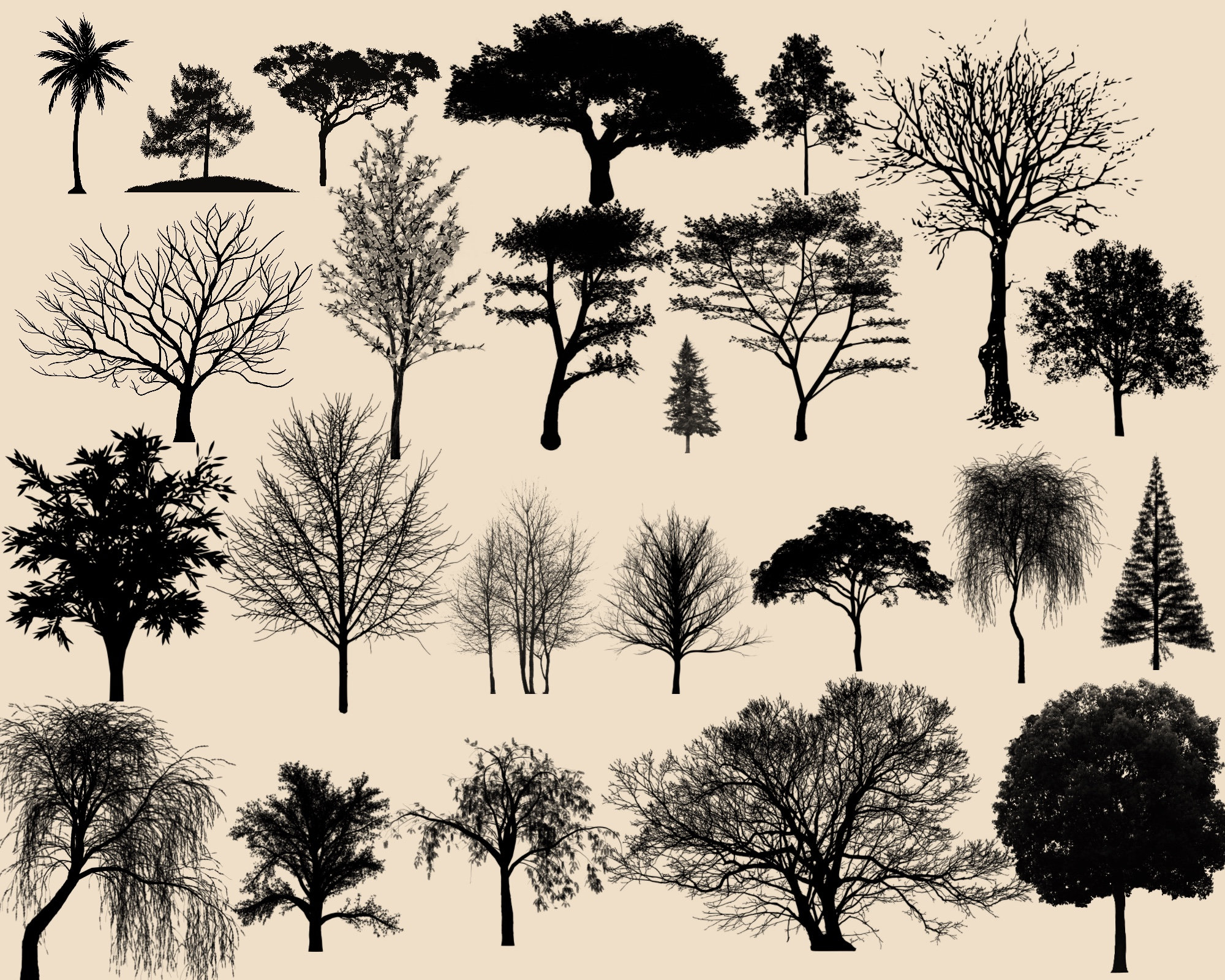 150 Procreate Tree Brushes,tree Silhouette Stamp Brush Set,procreate ...