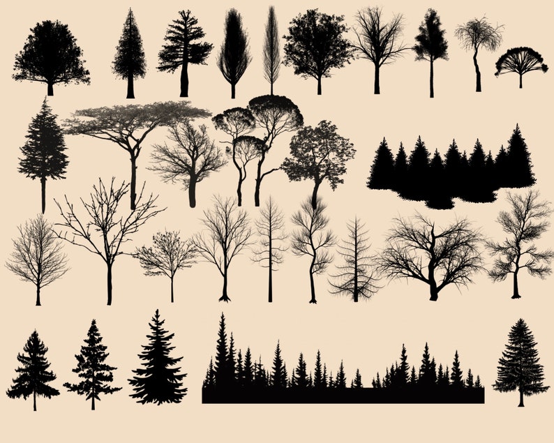 150 Procreate Tree Brushes,tree Silhouette Stamp Brush Set,procreate ...