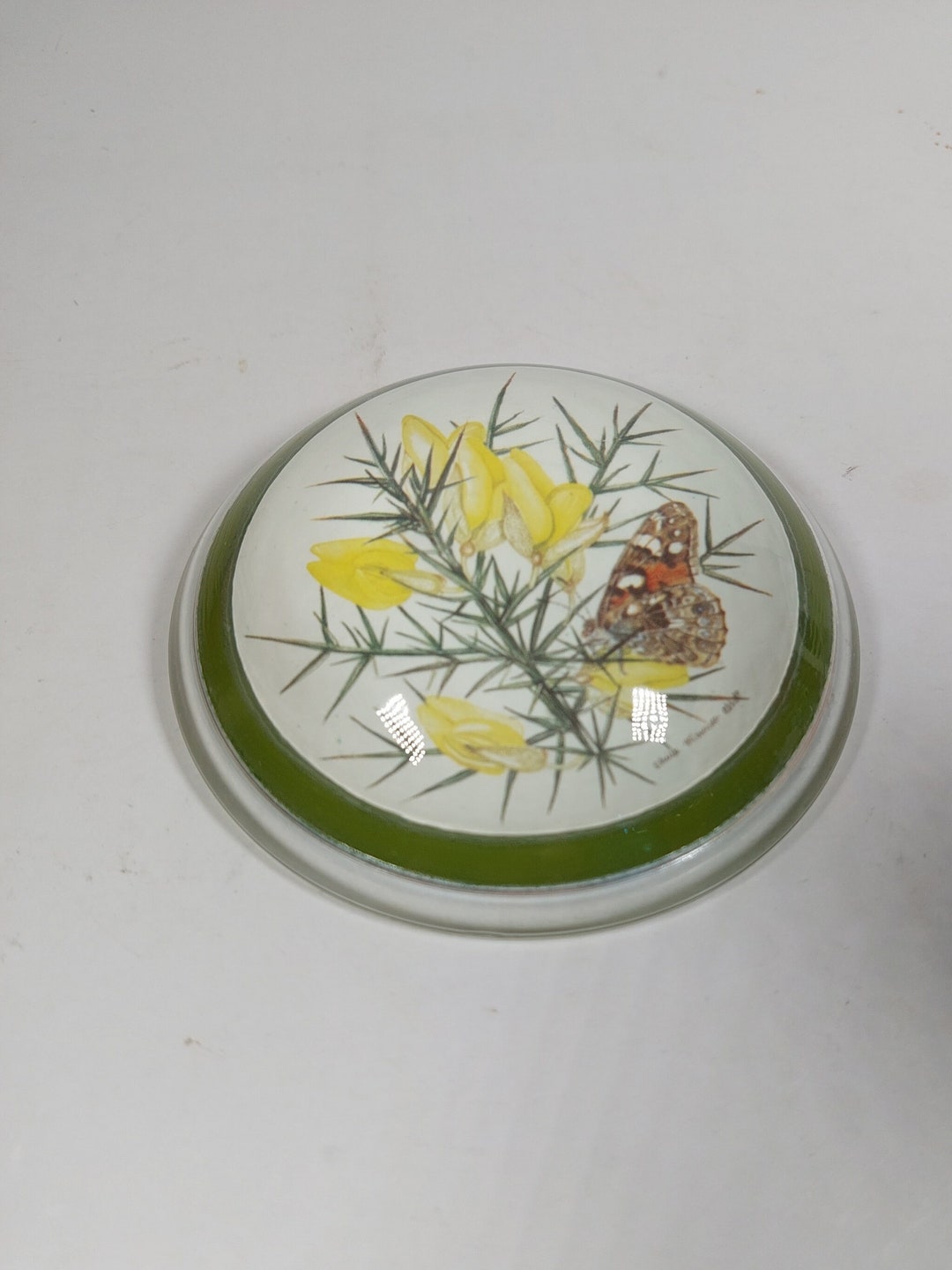 Vintage Artlines Paperweight - Clear Glass Dome Shaped -butterfly ...