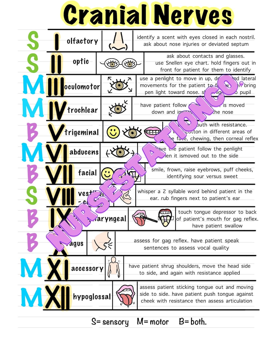 Cranial Nerves Assessment