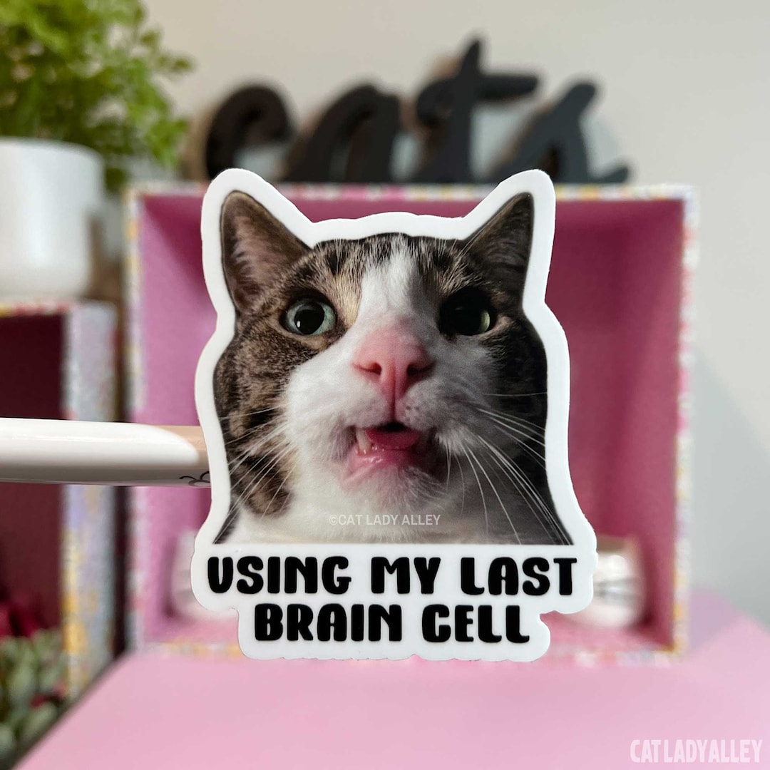 Using My Last Brain Cell Cat Sticker | Funny Tabby Cat Photo Sticker - Etsy
