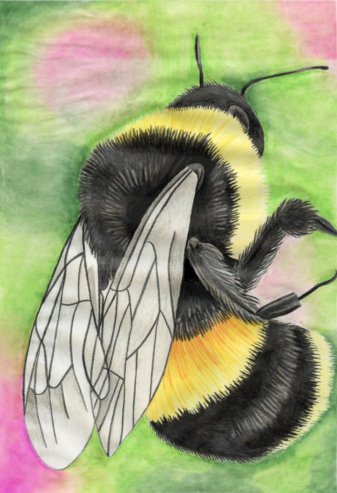 Bumblebee Wall Art Print | Illustrated Wall Decor | Digital Download ...