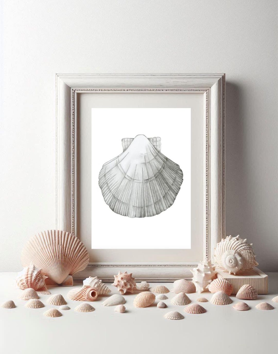 Seashell Wall Art Print | Illustrated Wall Decor | A5 A4 A3 Unframed ...