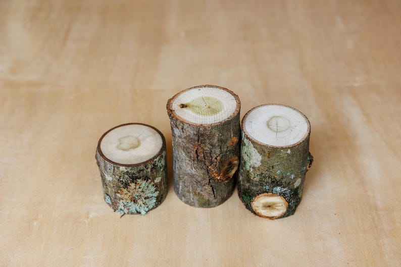 Tulip Poplar Wood Stumps Sets, Rustic Wedding Centerpieces, Organic ...