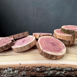 5”+ Red Cedar Wood Cookie Slices, Rounds, Rustic Centerpieces, Wood ...