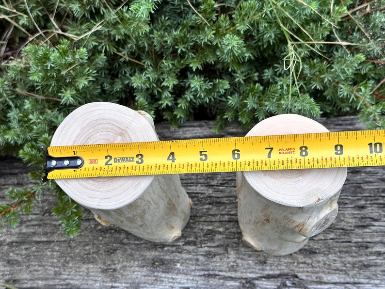 Debarked Cypress Tree Log Stumps Rustic Wedding Decor - Etsy