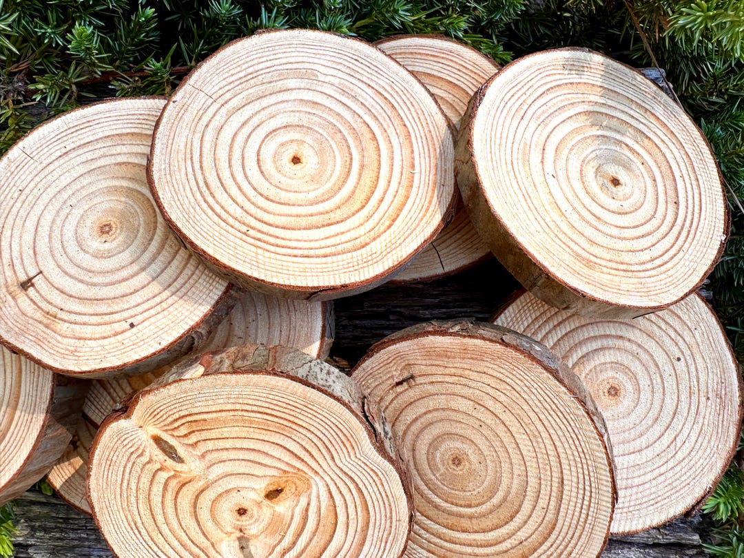 3"-5" Pine Wood Slices, Wood Cookies, Wedding Table Decor Centerpieces ...