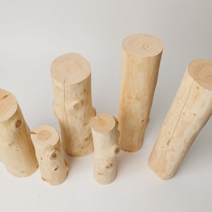 Debarked Cypress Tree Log Stumps | Rustic Wedding Decor | Rustic Table ...