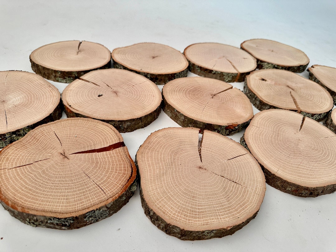 6"-7" Red Oak Wood Cookie Slices, Rustic Cake Stand, Wedding Decor ...