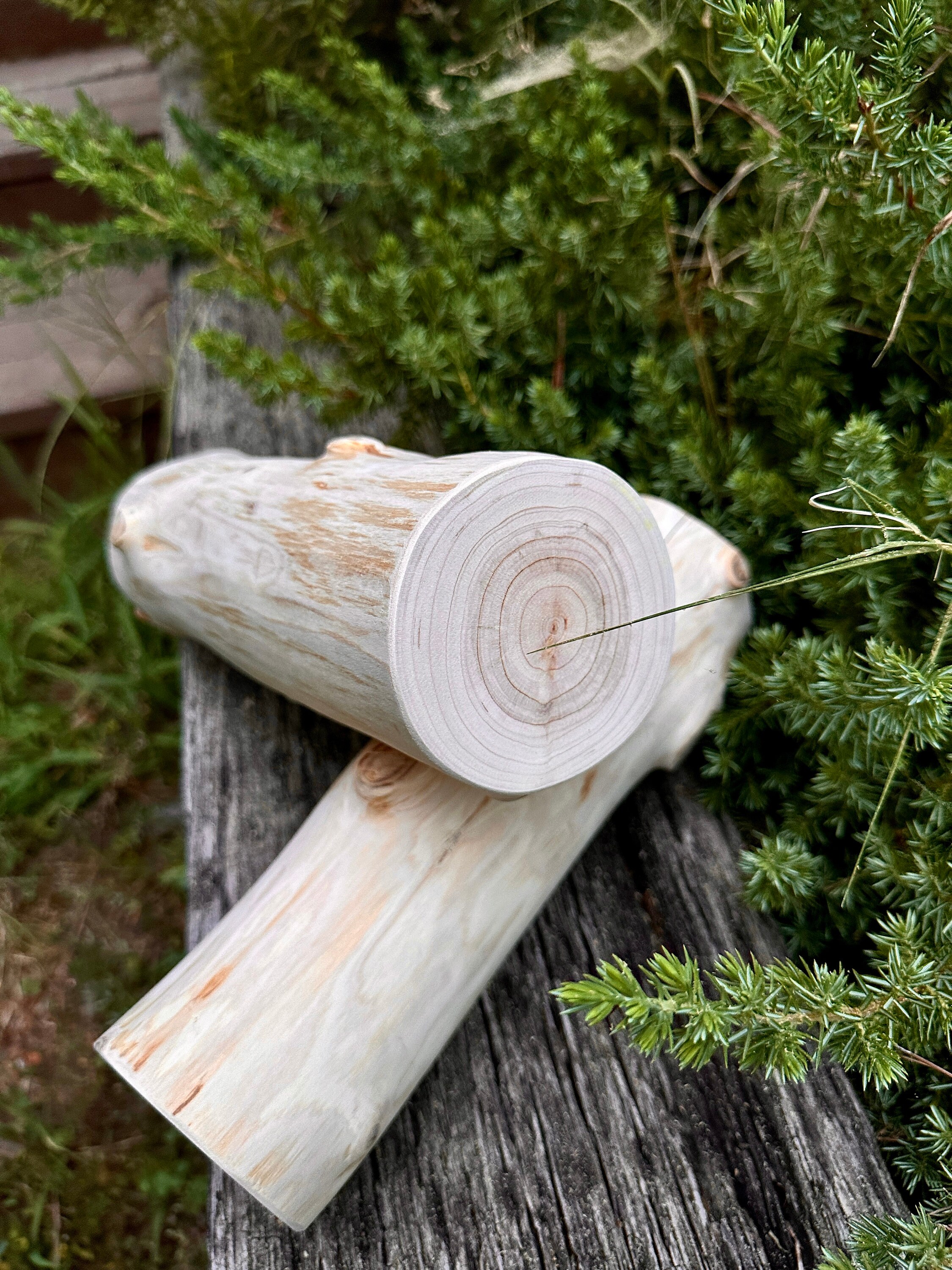 Debarked Cypress Tree Log Stumps Rustic Wedding Decor Rustic Table ...