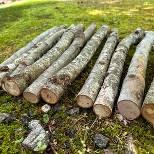 10 Organic Oak Tree Logs/sticks 17" Long, 1-2" Wide | Craft Wood Sticks ...