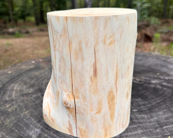 Debarked Cypress Tree Log Stump | Rustic Wedding Decor | Rustic Table ...