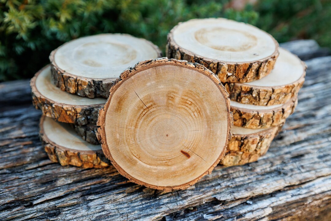 2"-4"+ Sweet Gum Wood Slices, Wood Cookies, Wedding Table Decor ...