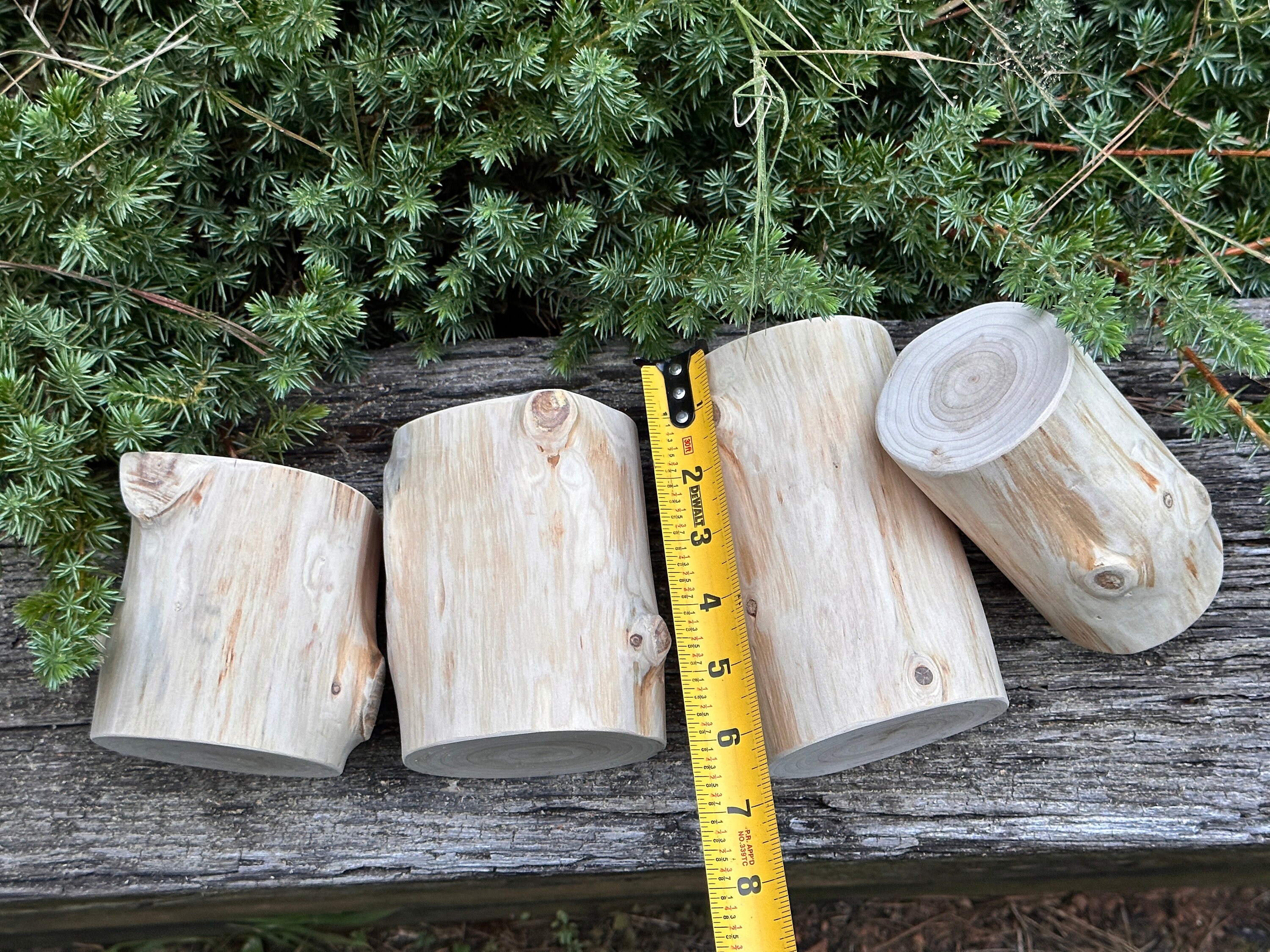 Small Cypress Tree Log Stumps Debarked Rustic Wedding - Etsy
