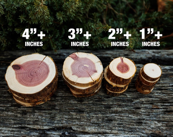 3.5 Red Cedar Wood Slices Set of 26, Weathered/imperfect Wood Cookies ...