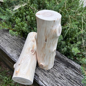 Debarked Cypress Tree Log Stumps | Rustic Wedding Decor | Rustic Table ...