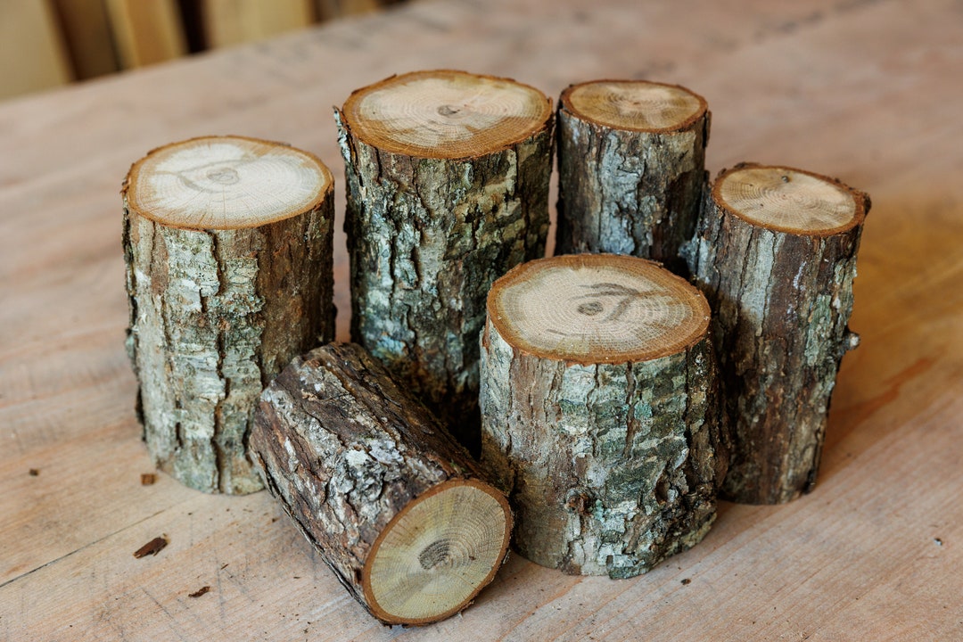 3" - 4" White Oak Wood Stumps, Rustic Wedding Centerpieces, Wedding ...