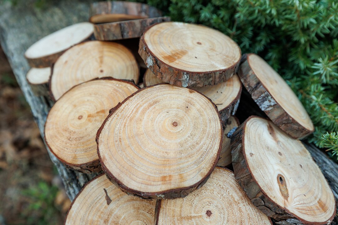 35 Pine Wood Slices, Wood Cookies, Wedding Table Decor Centerpieces ...