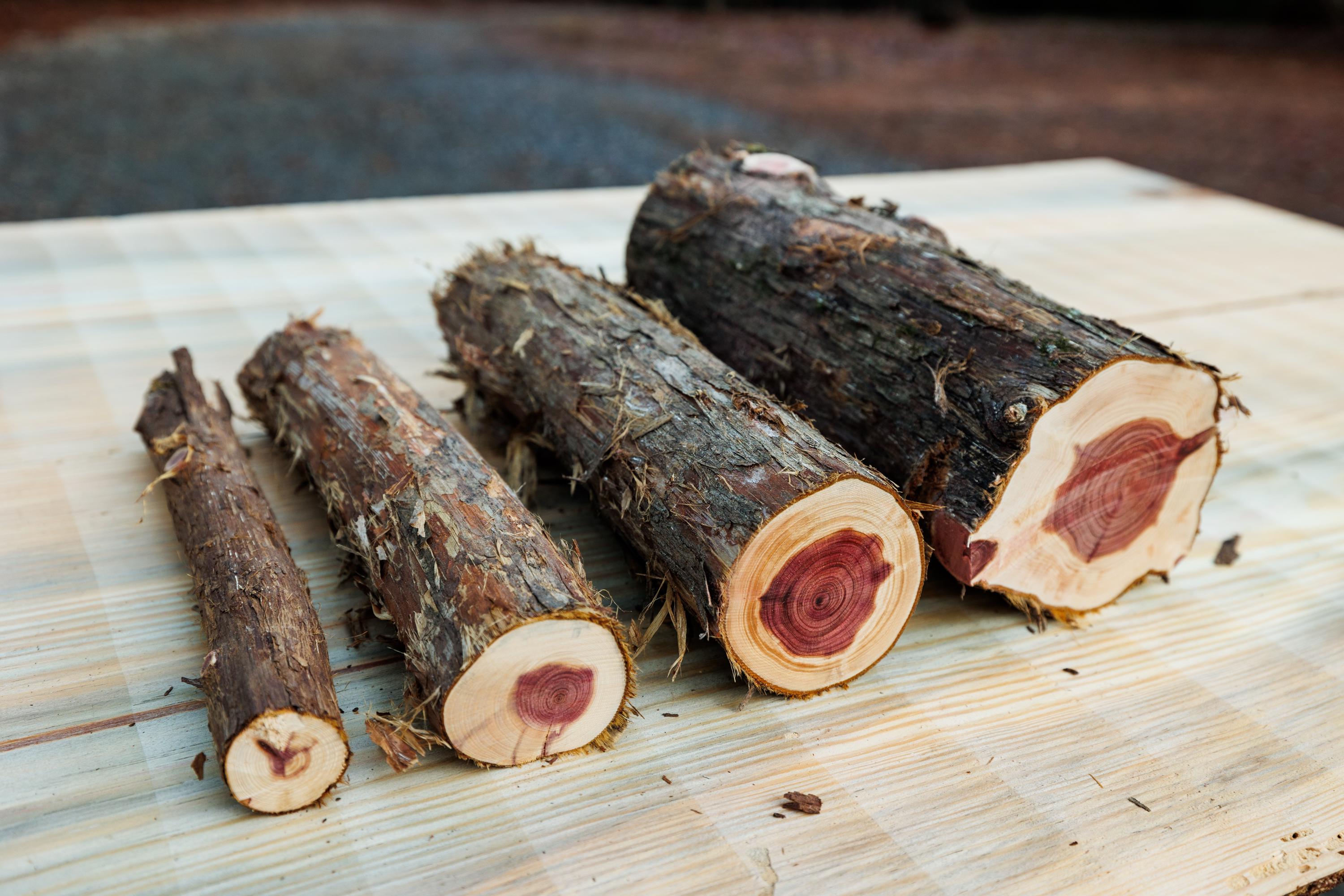 Red Cedar Logs 10