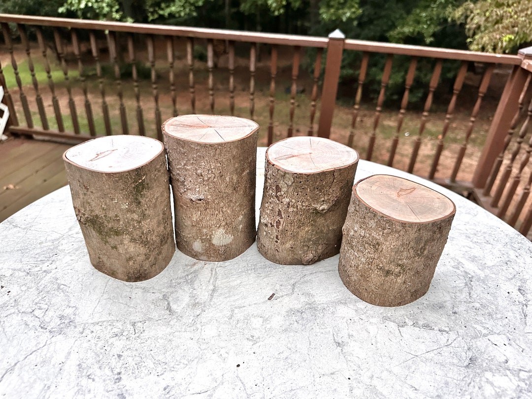 4 Maple Wood Stumps Rustic Wood Decorations 028 Rustic - Etsy