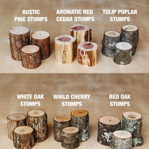 3" - 4" Red Oak Wood Stumps, Organic Rustic Log Stumps, Rustic Wedding ...