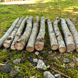 10 Organic Oak Tree Logs/sticks 17" Long, 1-2" Wide | Craft Wood Sticks ...