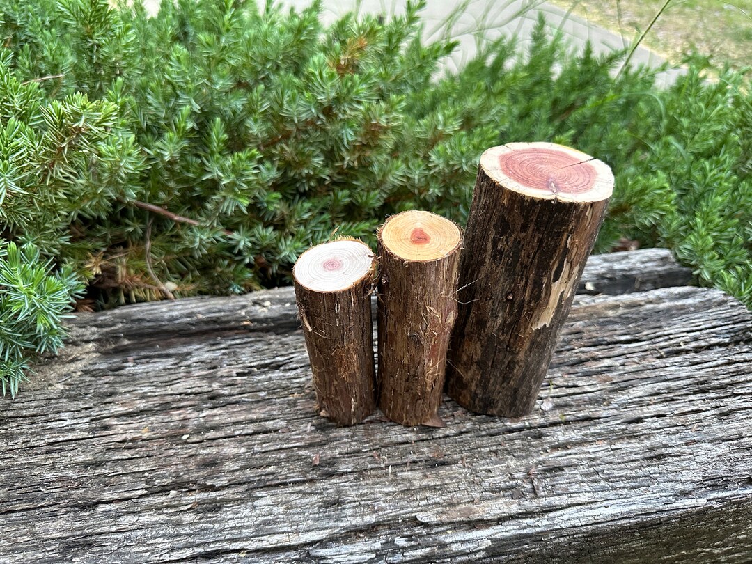 3 Organic Red Cedar Log Stumps Rustic Wedding Decor Rustic Table ...
