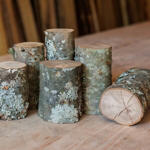 3" - 4" Red Oak Wood Stumps, Organic Rustic Log Stumps, Rustic Wedding ...
