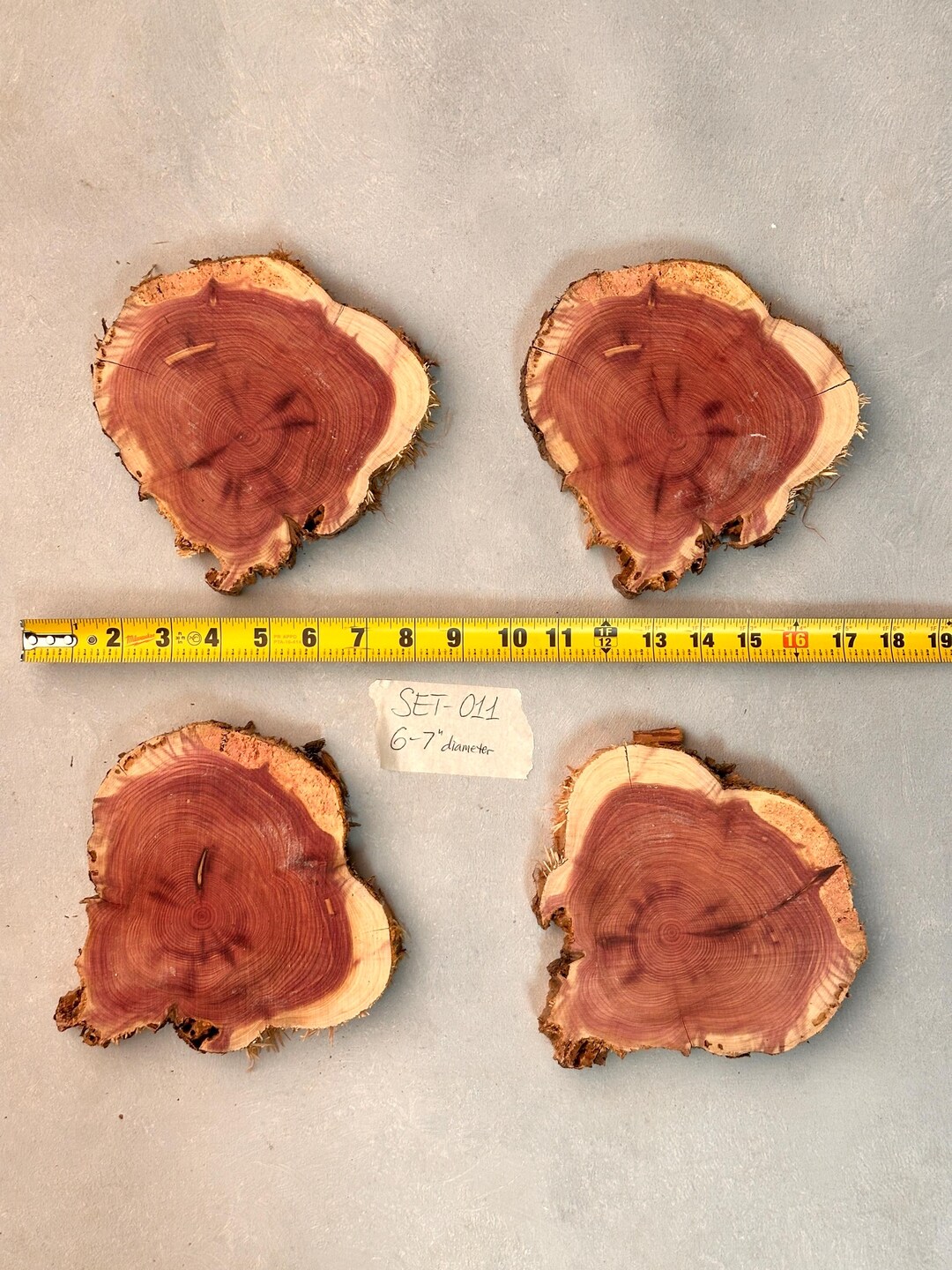 Red Cedar Set of 4 Wood Slices, Imperfect 5"-9" Rounds, Irregular ...