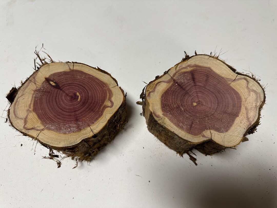 Red Cedar Log Stumps | Rustic Wedding Decor | Rustic Table Centerpiece ...