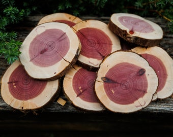 10 Weathered Red Cedar Wood Slices 019 4 5.5 - Etsy