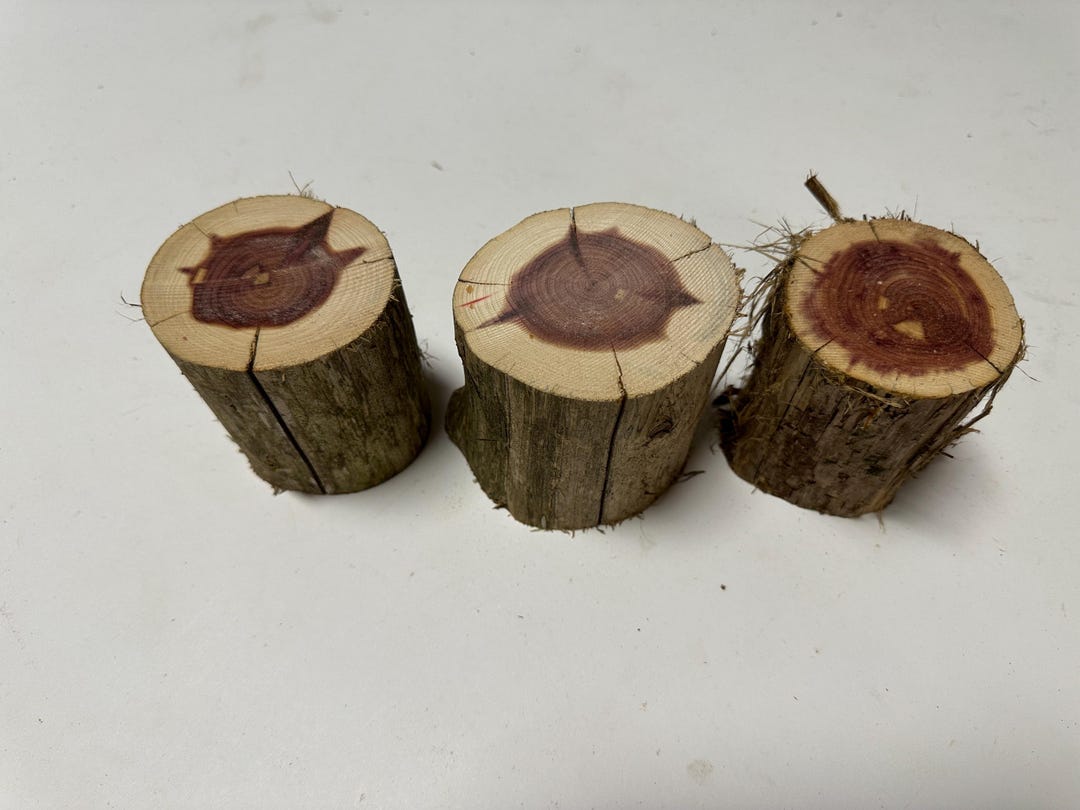 3 Red Cedar Log Stumps Rustic Wedding Decor Rustic Table Centerpiece ...