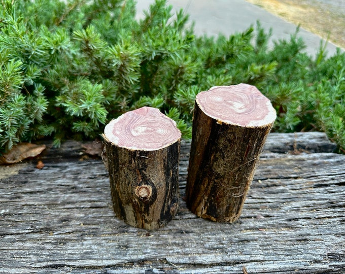 2 Organic Red Cedar Log Stumps Rustic Wedding Rustic Table Centerpiece ...