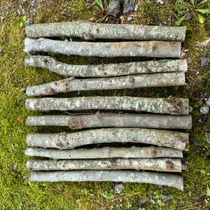 10 Organic Oak Tree Logs/sticks 17" Long, 1-2" Wide | Craft Wood Sticks ...
