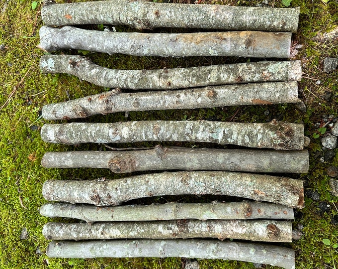 10 Organic Oak Tree Logs/sticks 17" Long, 1-2" Wide | Craft Wood Sticks ...