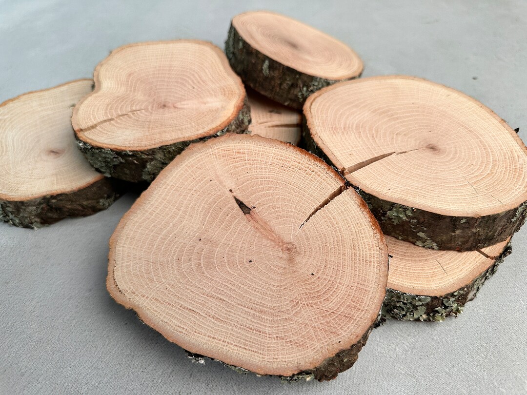 56 Red Oak Wood Cookies Set of 7, Rustic Cake Stand, Wedding Table ...