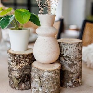 3" - 4" Red Oak Wood Stumps, Organic Rustic Log Stumps, Rustic Wedding ...