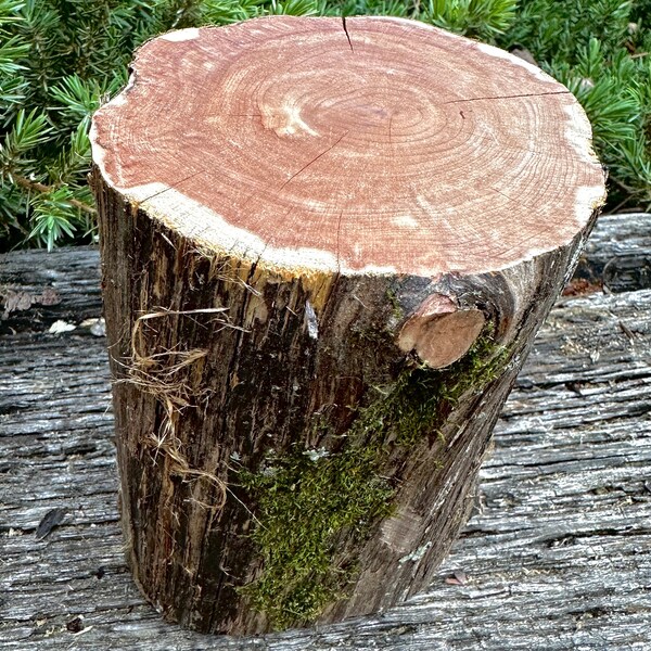 Rustic Log Decor - Etsy