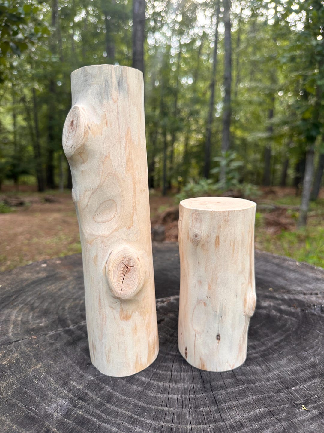 Debarked Cypress Tree Log Stumps Set of 2 | Rustic Wedding Decor ...