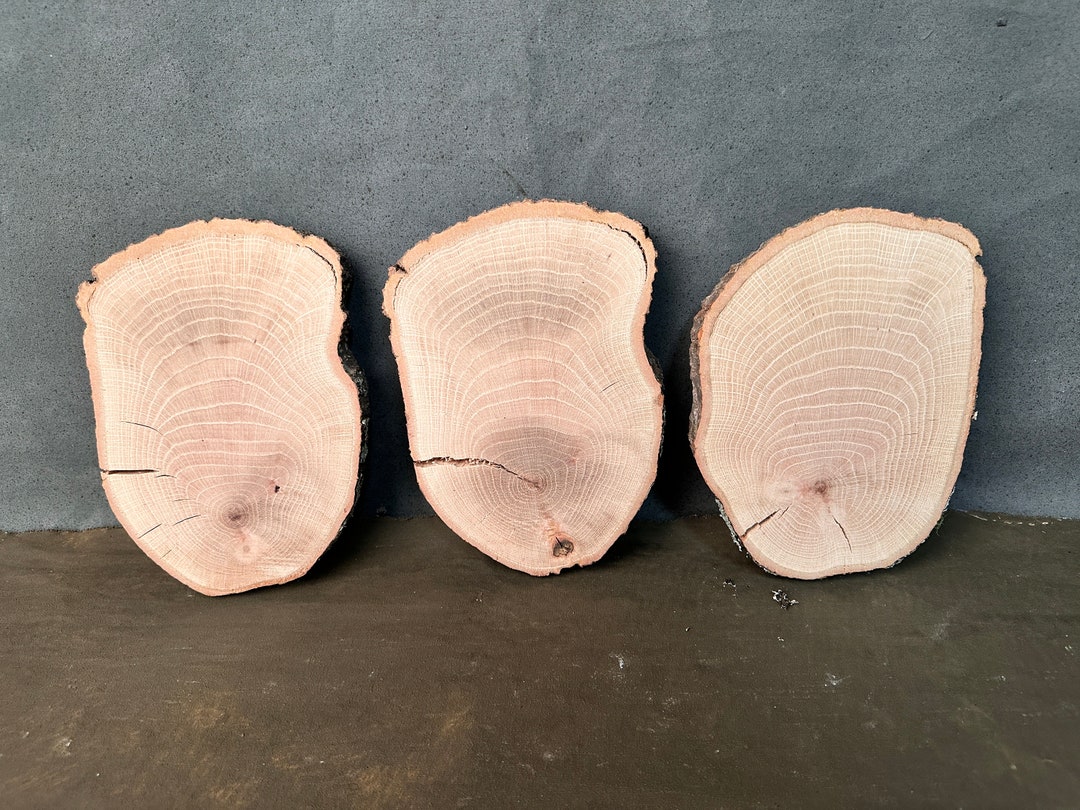 8 Red Oak Wood Cookies Set of 3, Rustic Wedding Cake Stand, Wedding ...