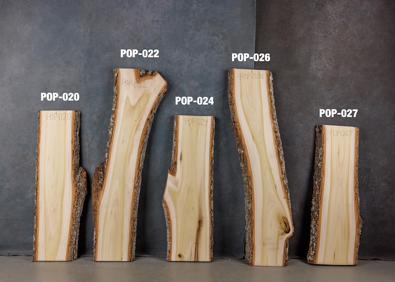 Tulip Poplar Wood Slabs, Live Edge Boards, DIY Woodworking Supplies ...
